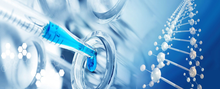 Adaptive Therapy for Cancer: An Evolutionary Medicine View – CICTA